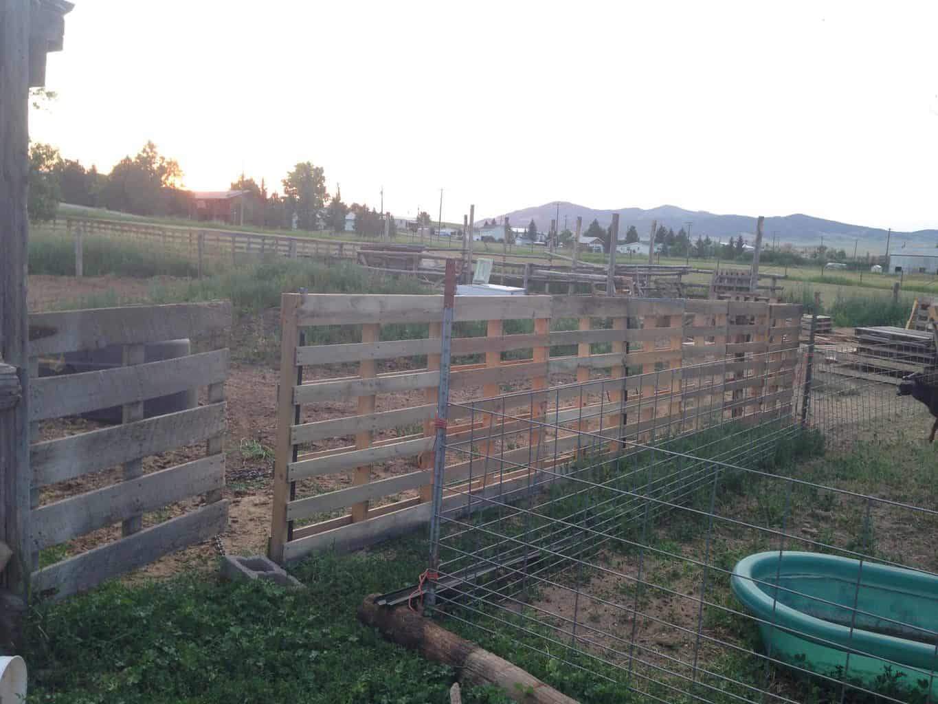 Pallet Fence: Great for small livestock