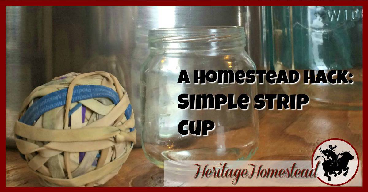 Simple Strip Cup for Milking: A Homestead Hack - A Life Of Heritage