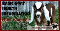 Basic Goat Health Information - A Life Of Heritage